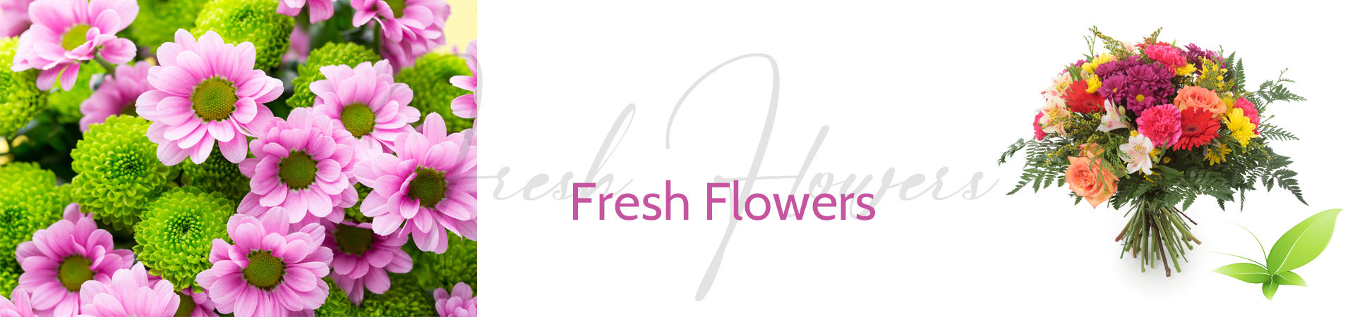 Buy Wholesale Fresh Cut Flowers online | Wholesale Cut Flowers Direct