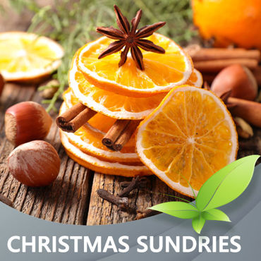 Wholesale Cut Flowers Direct